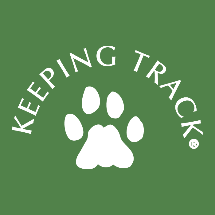 Team of Keeping Track